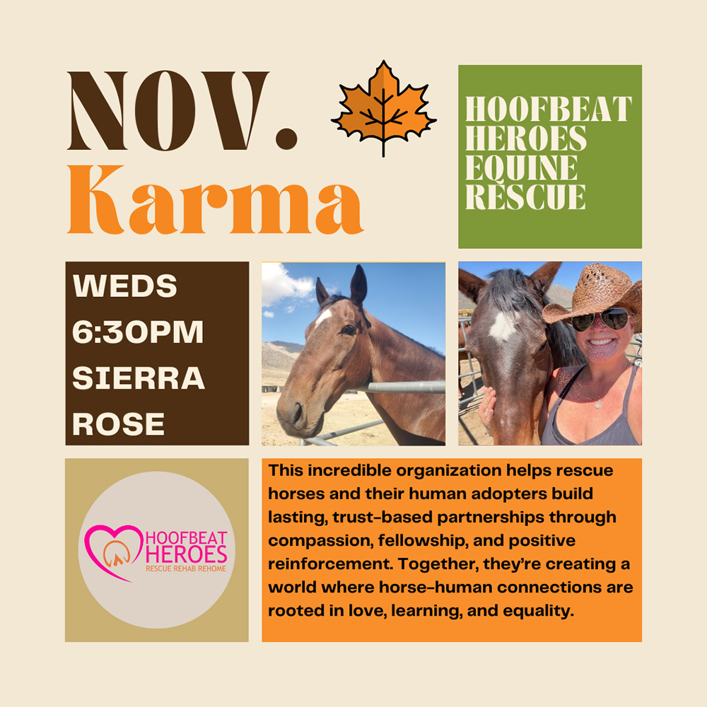 Juice Box Yoga - Reno, Sparks, Northern Nevada Hot Yoga Fitness